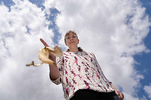 PHA – Let the feasting begin